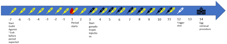 Different types of IVF Protocols Explained